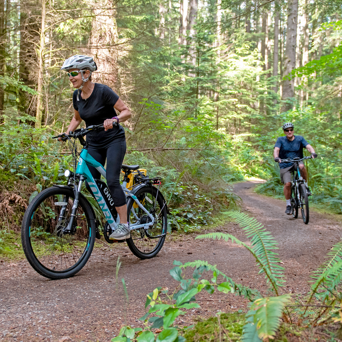 ENVO ROAD SOLUTIONS - ENVO Electric Bikes, e-Scooters, and e-Trikes