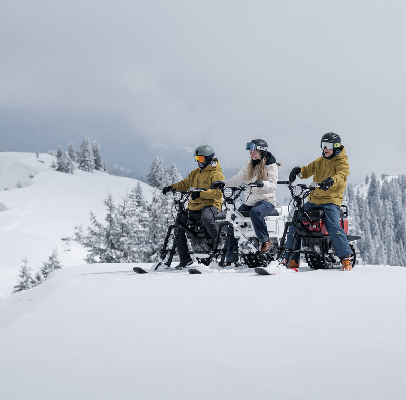 ENVO Drive Systems | eBikes, Electric Bikes and Electric Snow Mobility ...